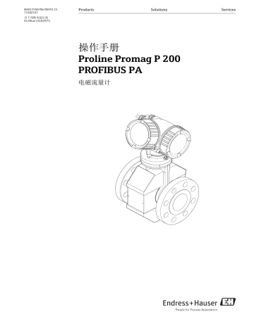 Endres+Hauser Proline Promag P 200 PROFIBUS PA 取扱説明書 | Manualzz