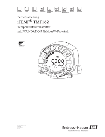 Endres+Hauser Temperature field transmitter iTEMP TMT162 ...