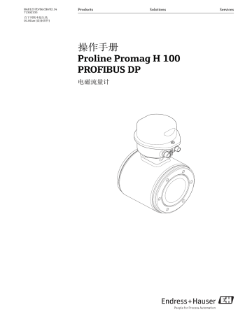 Endres+Hauser Proline Promag H 100 PROFIBUS DP 取扱説明書 | Manualzz