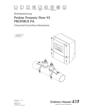 Prosonic Flow 93 Profibus