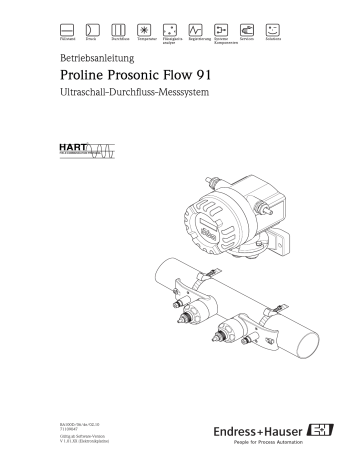 Endres+Hauser Prosonic Flow 91 Bedienungsanleitung | Manualzz