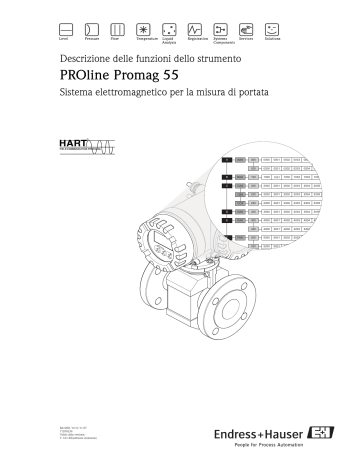 Endres+Hauser PROLINE PROMAG 55 Istruzioni per l'uso | Manualzz