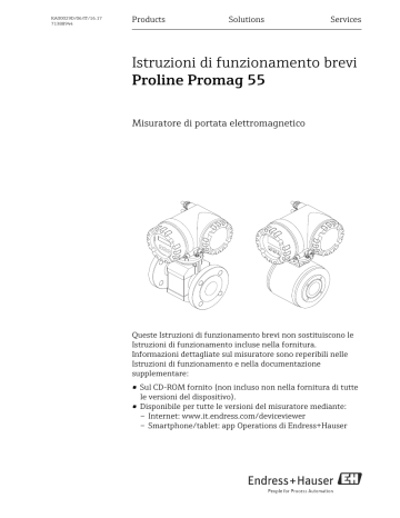 Endres+Hauser Proline Promag 55 Brief Manuale utente | Manualzz