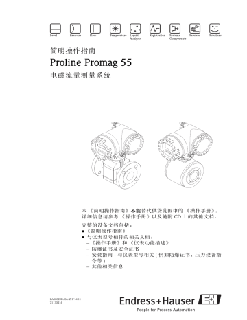 Endres+Hauser Proline Promag 55 Brief ユーザーマニュアル | Manualzz