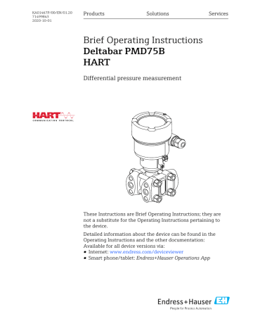 Endres+Hauser Deltabar PMD75B Short Instruction | Manualzz