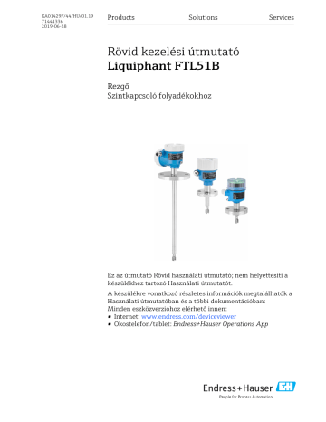 Endres+Hauser Liquiphant FTL51B Short Instruction | Manualzz