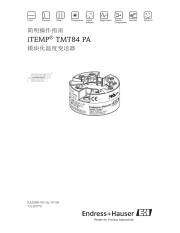Endres+Hauser iTEMP TMT84 ユーザーマニュアル | Manualzz