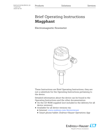 Endres+Hauser Magphant Short Instruction | Manualzz