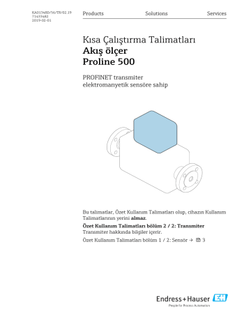 Endres+Hauser Flowmeter Proline 500 Brief Kullanım kılavuzu | Manualzz