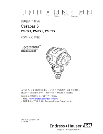 Endres+Hauser Cerabar S PMC71, PMP71, PMP75 Brief ユーザーマニュアル | Manualzz