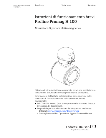 Endres+Hauser Proline Promag H 100 Brief Manuale utente | Manualzz