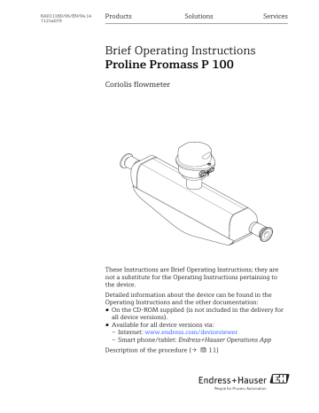 Endres+Hauser Proline Promass P 100 Brief Short Instruction | Manualzz
