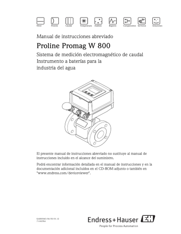 Endres+Hauser Proline Promag W 800 Brief Manual de usuario | Manualzz