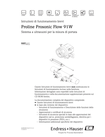 Endres+Hauser Proline Prosonic Flow 91W Brief Manuale utente | Manualzz