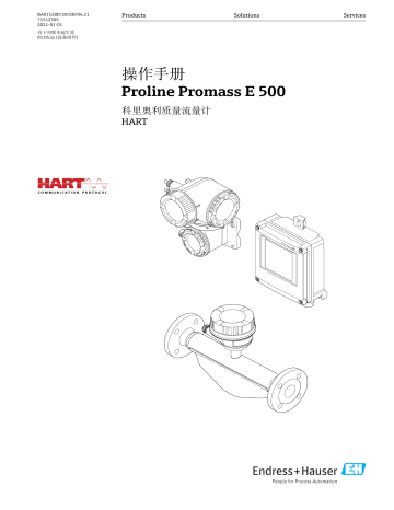 Endres+Hauser Proline Promass E 500 取扱説明書 | Manualzz