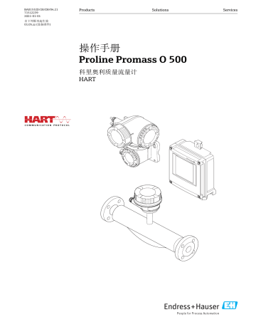Endres+Hauser Proline Promass O 500 取扱説明書 | Manualzz