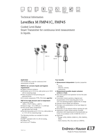 Endress+Hauser Levelflex M FMP45 Technical Information | Manualzz