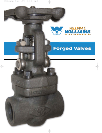 William E Williams Valve Corporation WF87SW2 1/2 1/2 in. Forged Steel ...