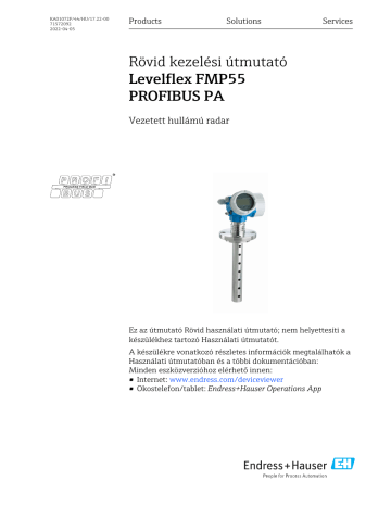 Endres+Hauser Levelflex FMP55 PROFIBUS PA Short Instruction | Manualzz