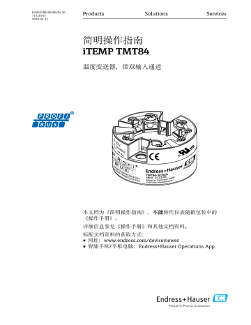 Endres+Hauser iTEMP TMT84 ユーザーマニュアル | Manualzz