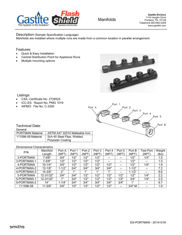 Gastite 5-PORTMAN-1 3/4 x 3/4 x 1/2 x 1 in. IPS Ductile Iron Multi-Port ...