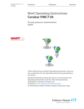 Endres+Hauser Cerabar PMC71B Short Instruction | Manualzz