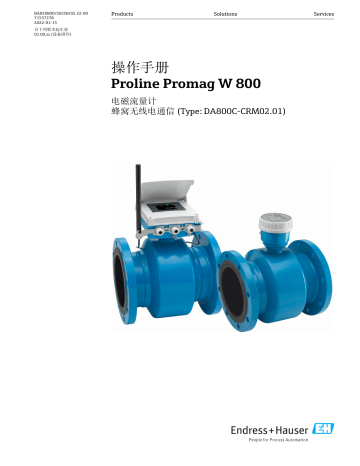 Endres+Hauser Proline Promag W 800 取扱説明書 | Manualzz