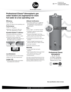 Rheem PROG40-38N RH62 - Specification, User guide | manualzz.com