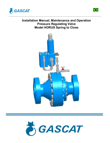 Gascat HORUS Installation Manual | Manualzz