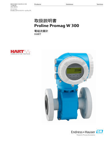 Endres+Hauser Proline Promag W 300 取扱説明書 | Manualzz