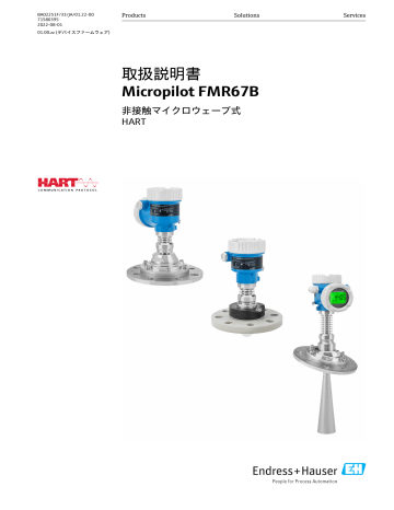 Endres+Hauser Micropilot FMR67B 取扱説明書 | Manualzz