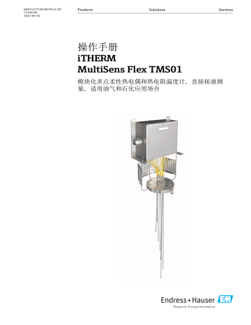 Endres+Hauser iTHERM MultiSens Flex TMS01 取扱説明書 | Manualzz