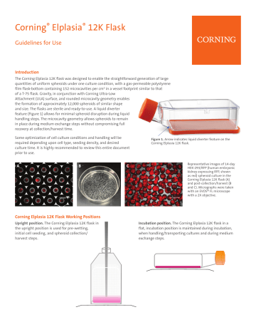 Corning Elplasia® 12K Flask Owner's Manual | Manualzz