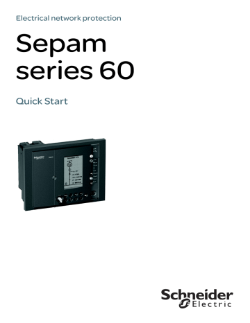 Schneider Electric Sepam series 60 Instruction Sheet | Manualzz