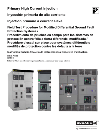 Schneider Electric Primary High Current Injection Field Test Procedure ...