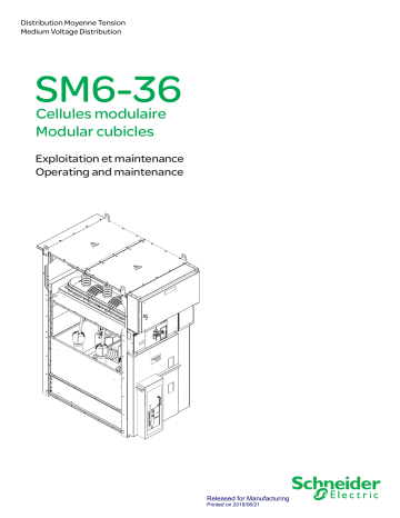 Schneider Electric SM6-36 User Guide | Manualzz