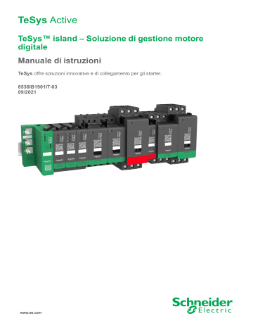 Schneider Electric TeSys™ island instruction manual | Manualzz