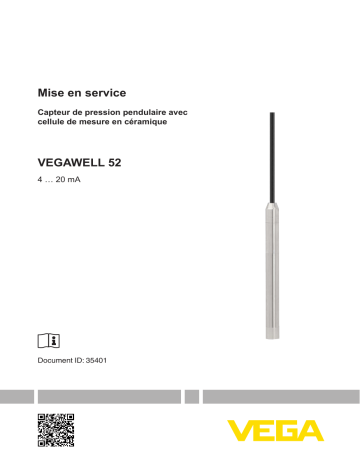 Vega VEGAWELL 52 Submersible pressure transmitter with ceramic ...