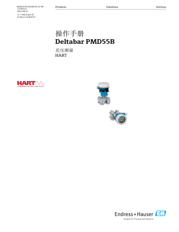 Endres+Hauser Deltabar PMD55B 取扱説明書 | Manualzz