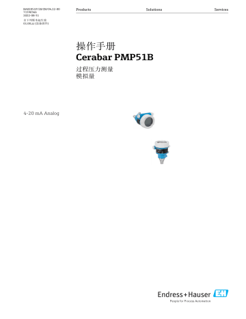 Endres+Hauser Cerabar PMP51B 取扱説明書 | Manualzz