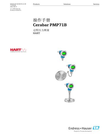 Endres+Hauser Cerabar PMP71B 取扱説明書 | Manualzz