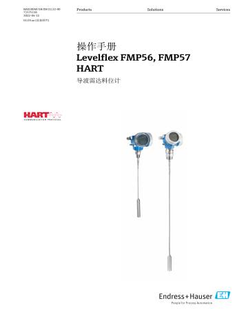 Endres+Hauser Levelflex FMP56, FMP57 HART 取扱説明書 | Manualzz