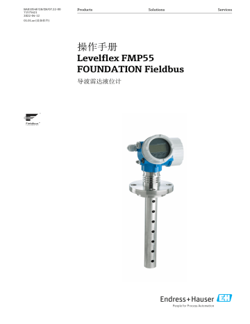 Endres+Hauser Levelflex FMP55 FOUNDATION Fieldbus 取扱説明書 | Manualzz