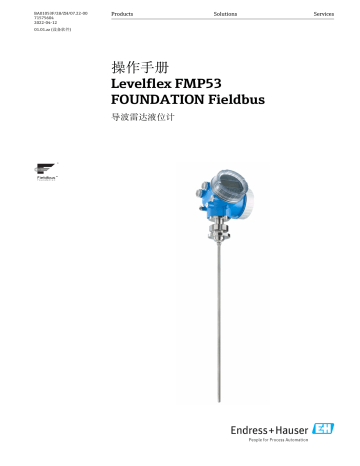 Endres+Hauser Levelflex FMP53 FOUNDATION Fieldbus 取扱説明書 | Manualzz