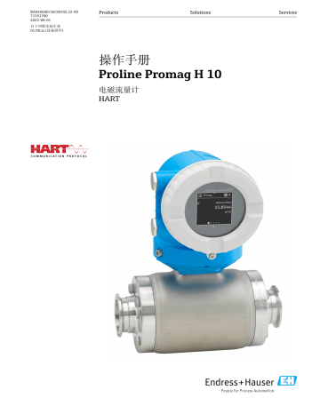 Endres+Hauser Proline Promag H 10 取扱説明書 | Manualzz