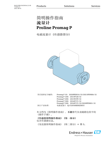 Endres+Hauser Flowmeter Proline Promag P ユーザーマニュアル | Manualzz