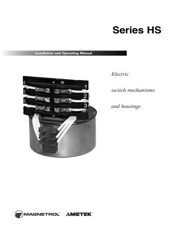 Magnetrol Hermetically Sealed Switch Instruction Manual | Manualzz