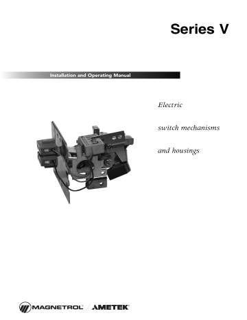 Magnetrol Series V Switch Instruction Manual | Manualzz