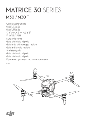 DJi Matrice 30 Series Drone Power in Portability User Guide | Manualzz