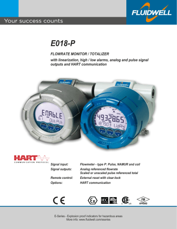 Fluidwell E018 Flow rate Monitor / Totalizer Owner's Manual | Manualzz